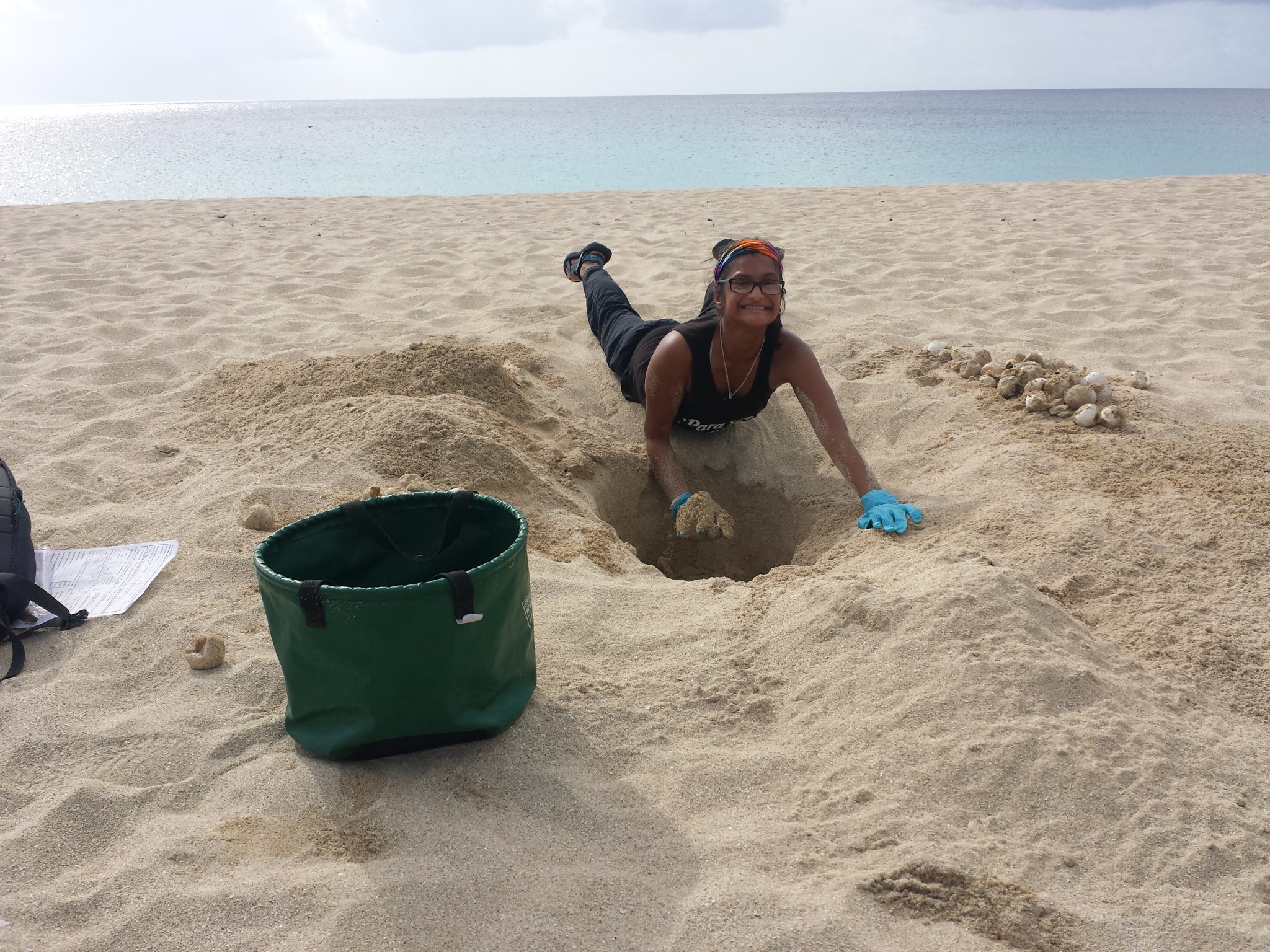 Junior Sea Turtle Scientist – The St. Croix Sea Turtle Project