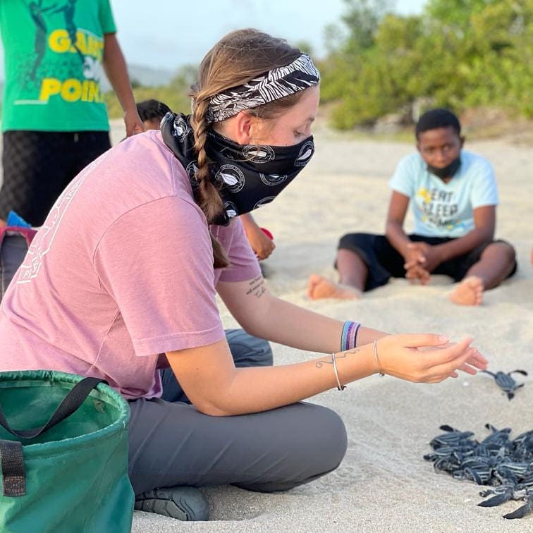 Turtle Watch 2023 – The St. Croix Sea Turtle Project