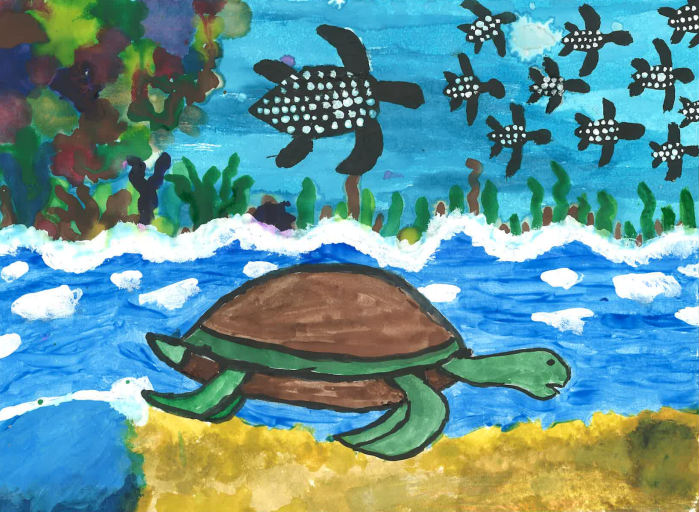 2024 Sea Turtle ART Contest – The St. Croix Sea Turtle Project