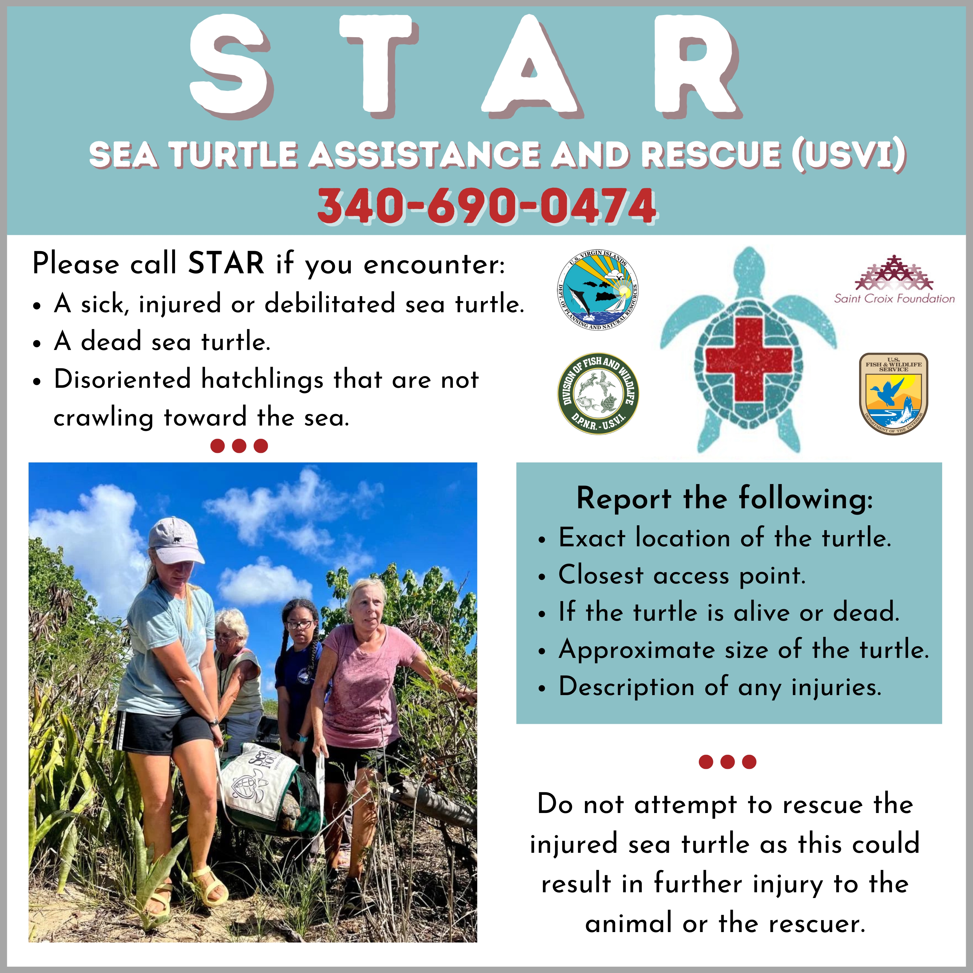 Sea Turtle Rescue – The St. Croix Sea Turtle Project