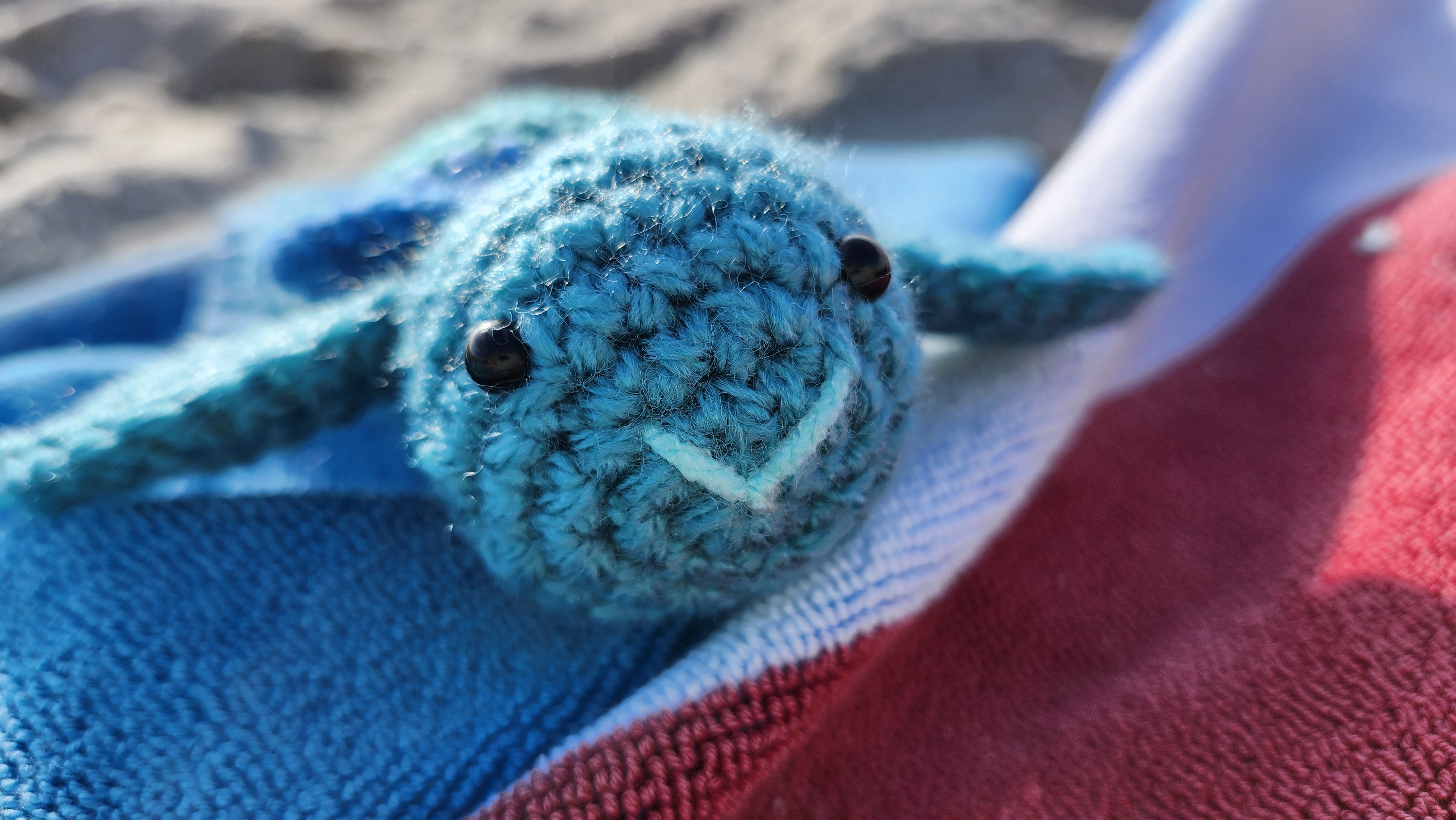 Sea Turtle Crochet Club – The St. Croix Sea Turtle Project